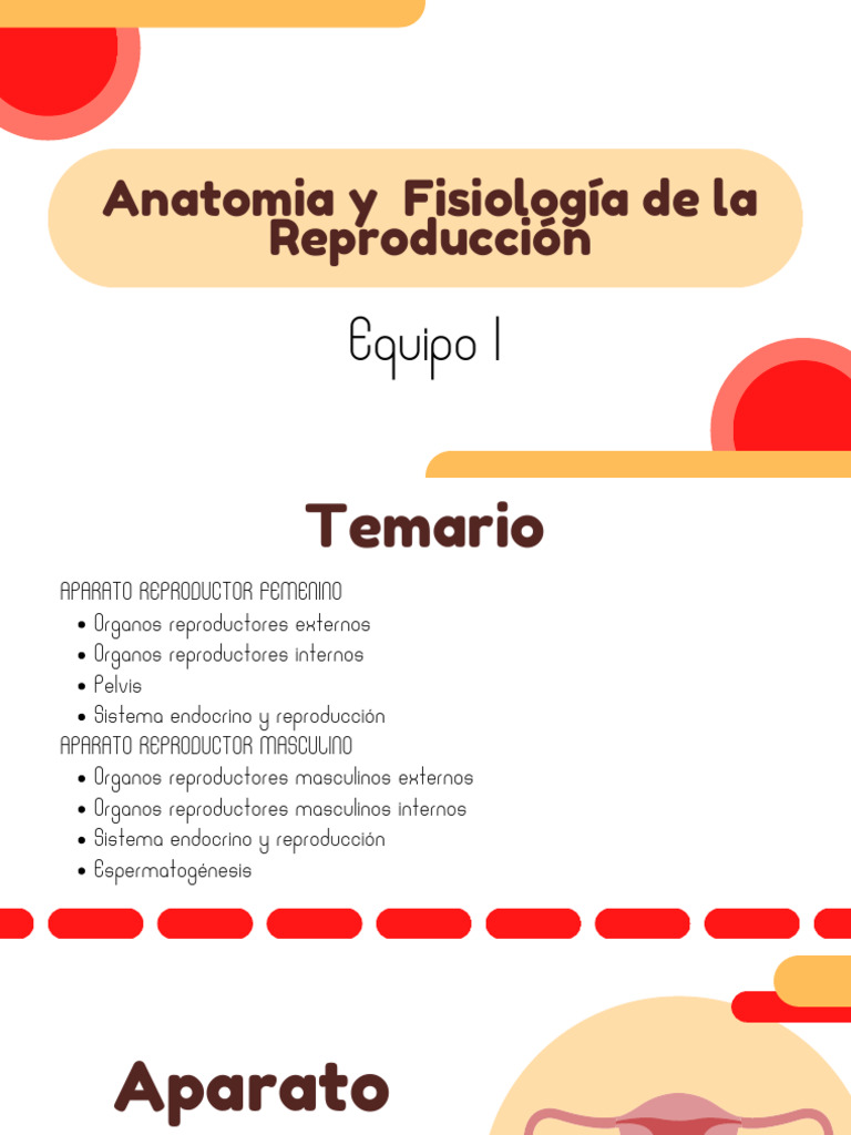 Anatomia y Fisiologia de La Reproduccion | PDF