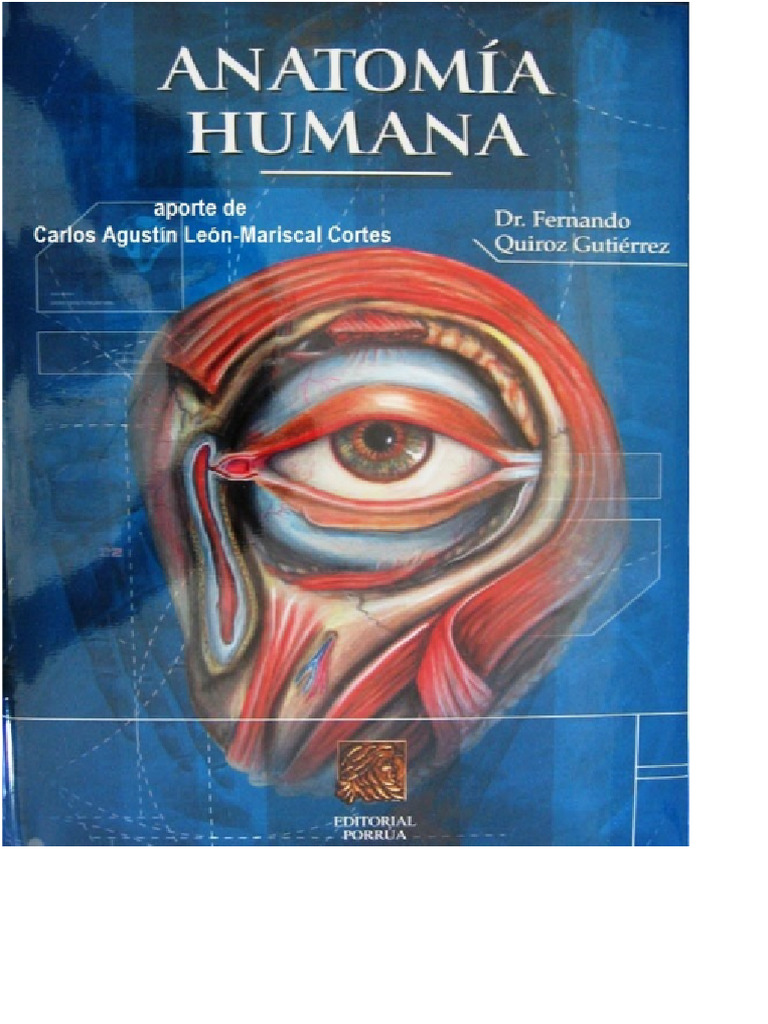 Anatomia de Quiroz Tomo I | PDF