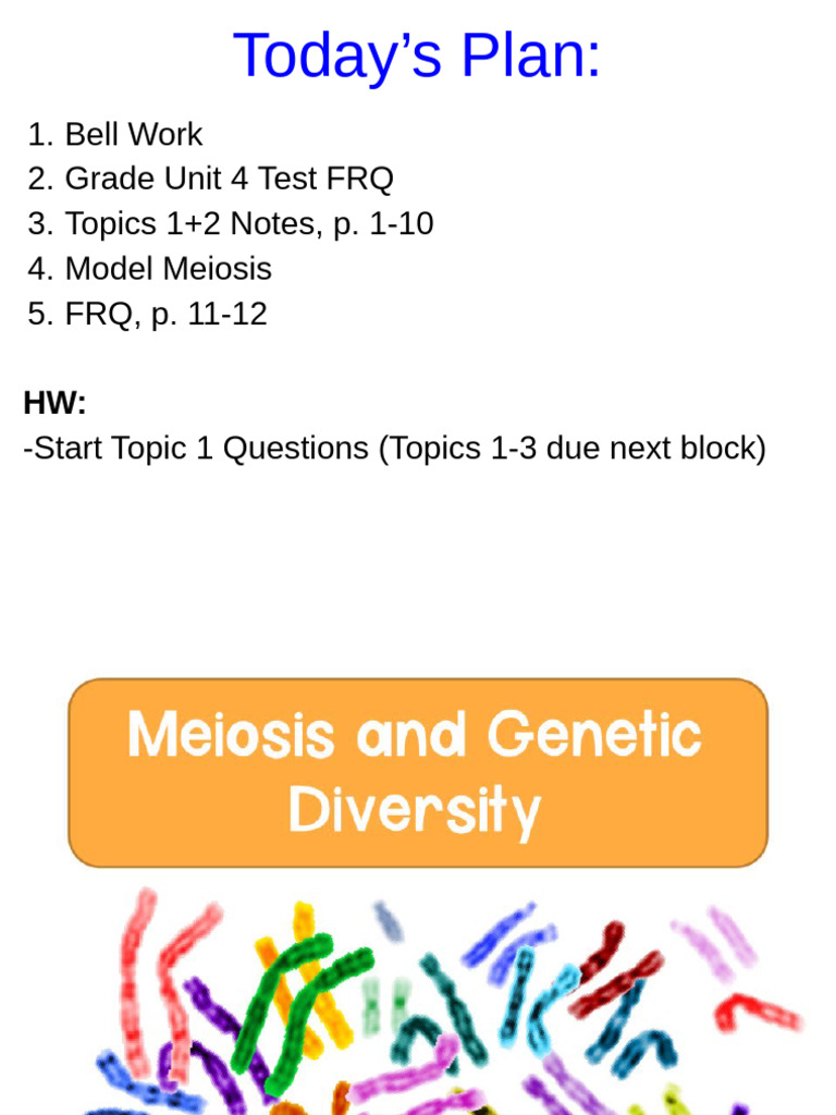 Topic 1 and 2 Notes | PDF | Meiosis | Ploidy