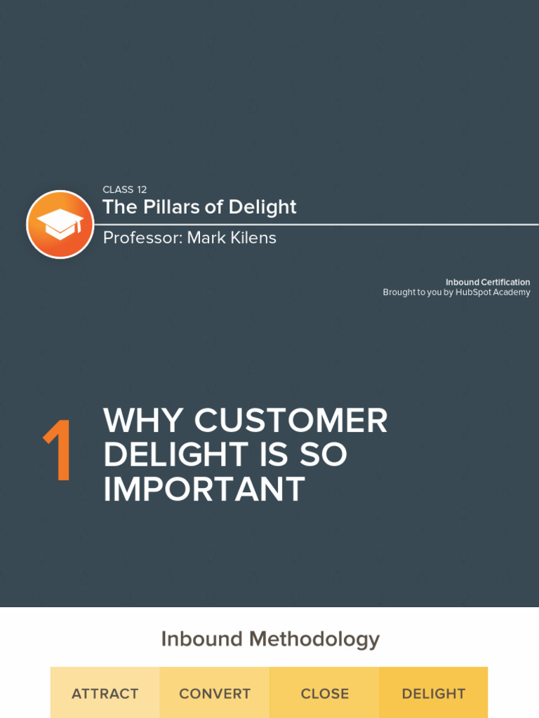 Class 12 - The Pillars of Delight 2015 | PDF | Customer Experience ...