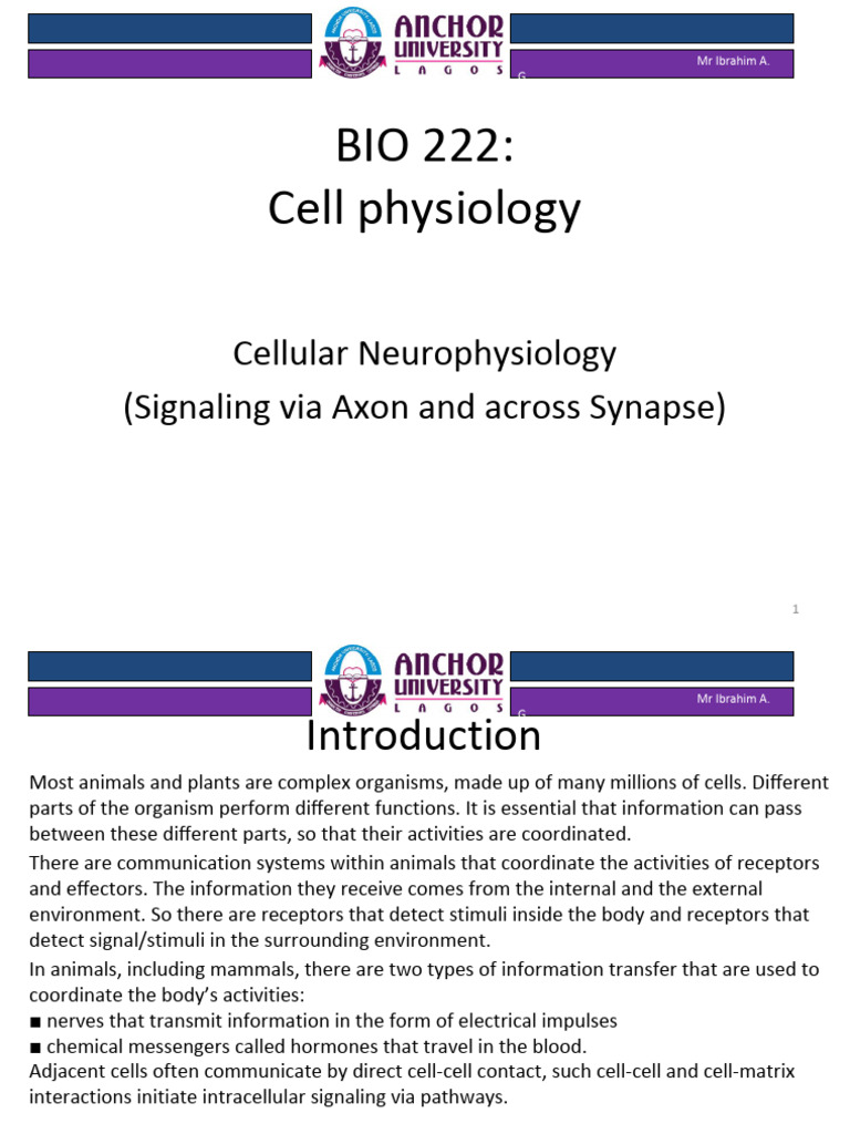 Cellular Neurophysiology Guide | PDF | Chemical Synapse | Cell Signaling