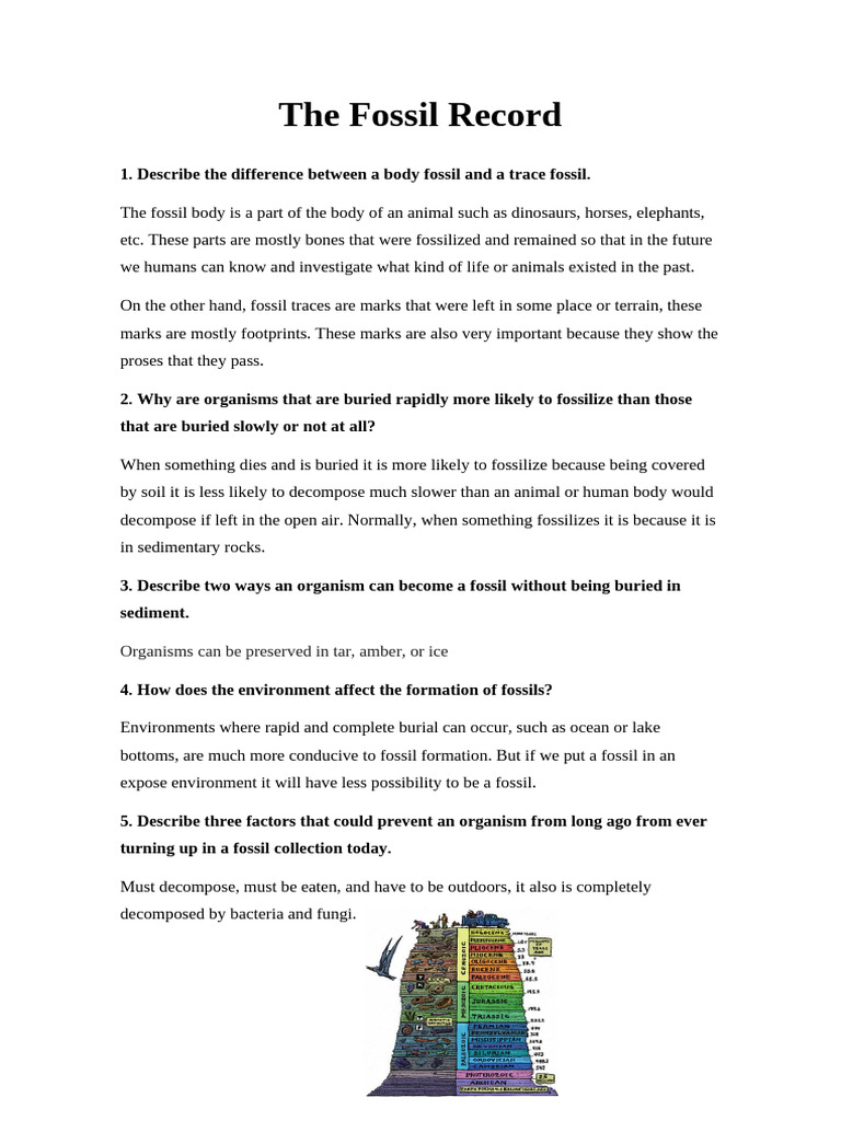 The Fossil Record | PDF