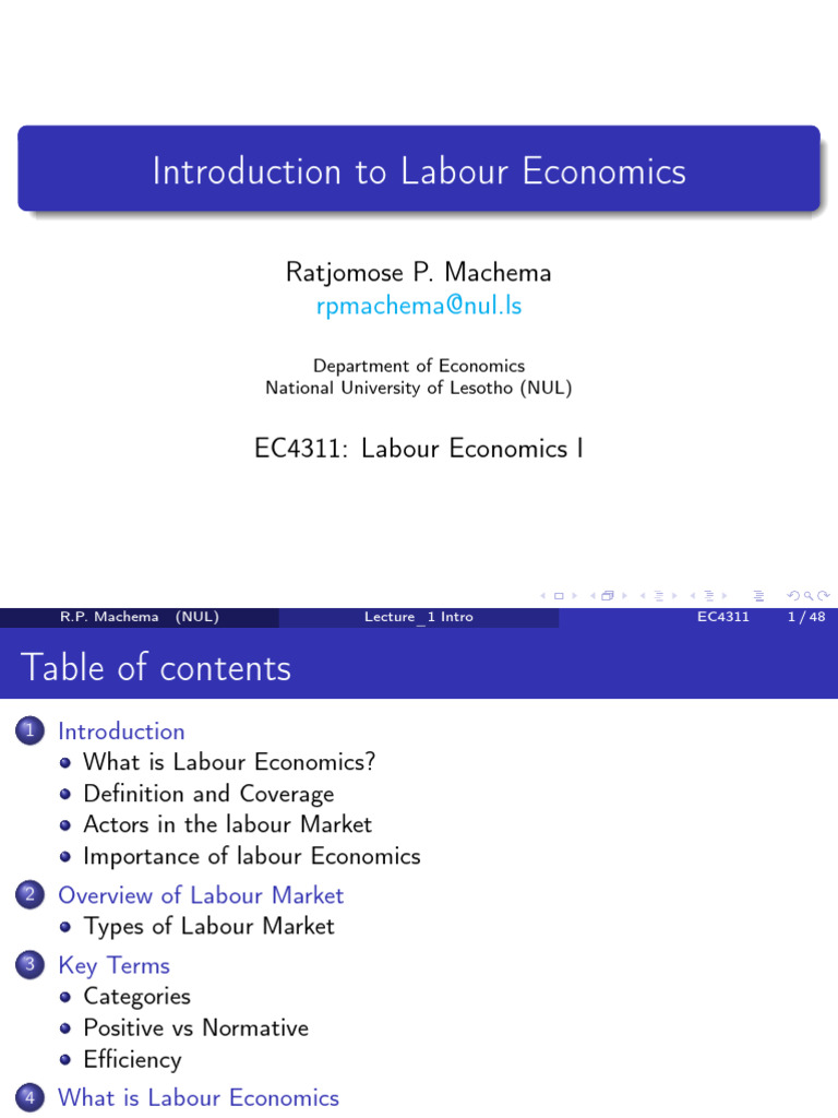 (2022) EC4311 Lecture 1 Overview | PDF | Labour Economics | Economics