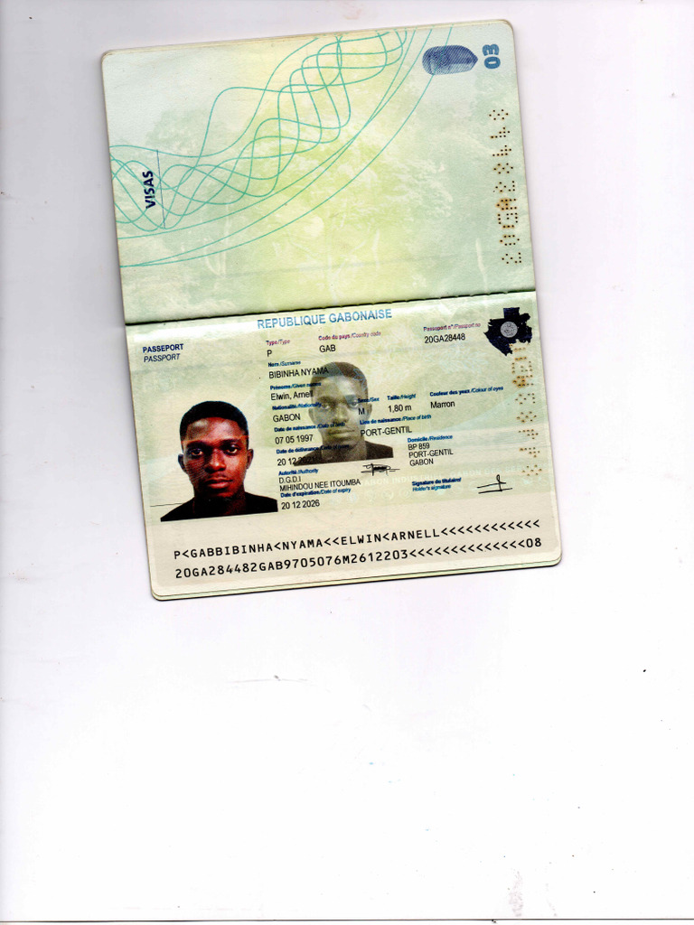 SCAN Passport | PDF