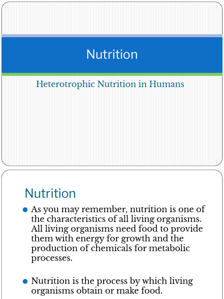 Food Substances | PDF | Human Tooth | Diet & Nutrition