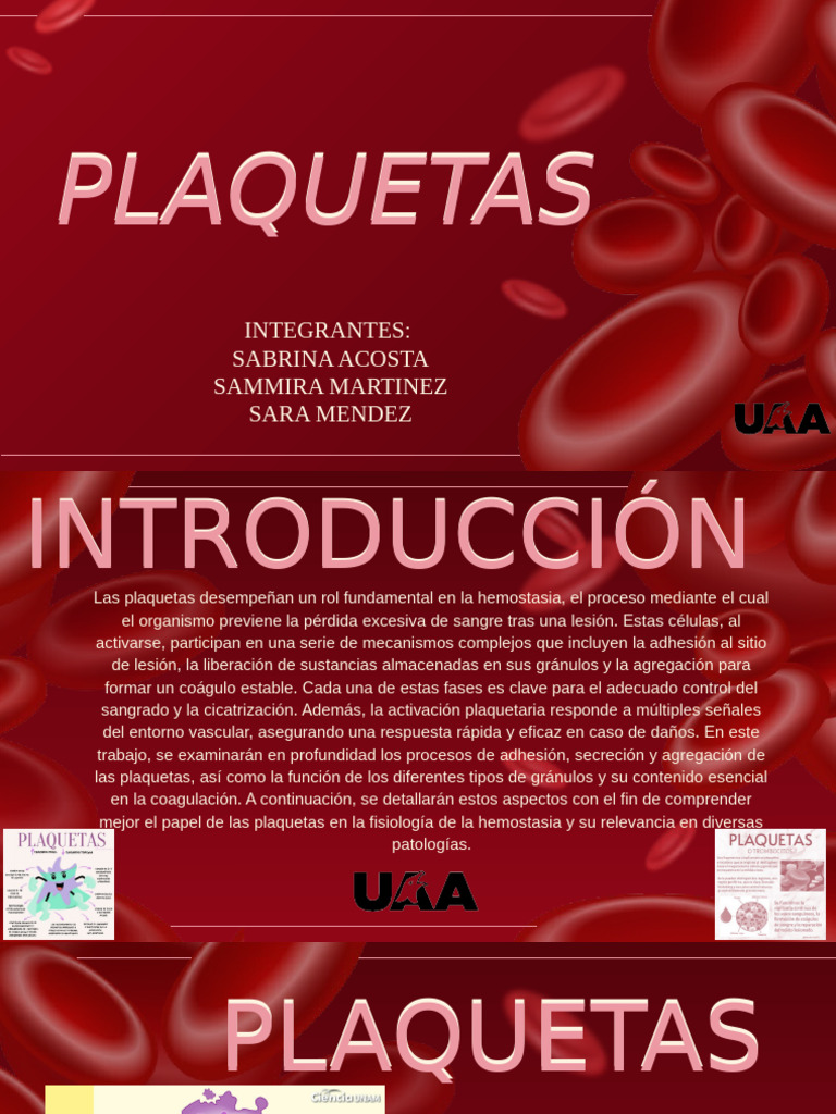 Plaquetas: Clave en Hemostasia y Patologías | PDF | Plaqueta | Coagulación