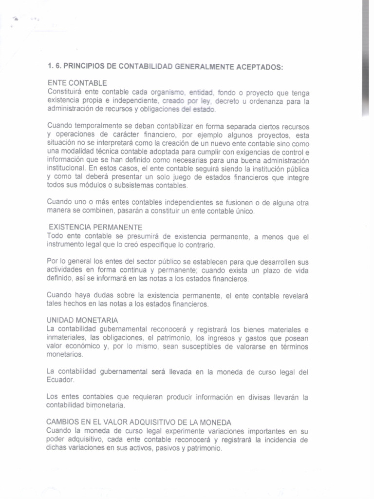 Principios Contab | PDF