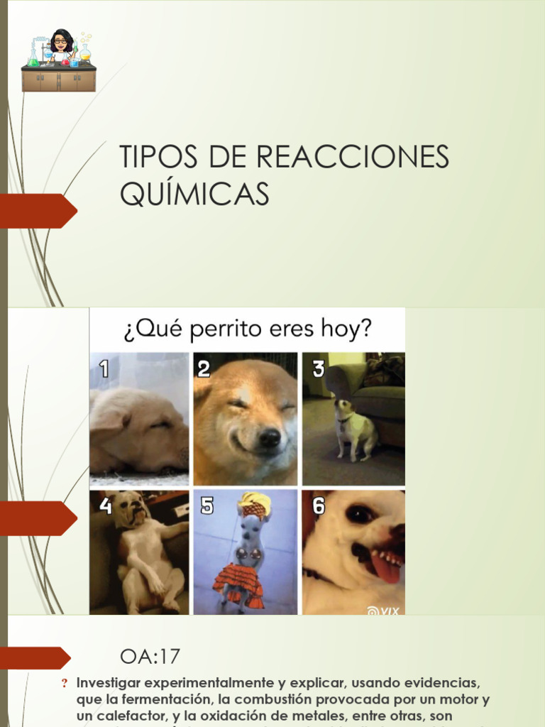 Tipos de Reacciones Qu-Micas | PDF