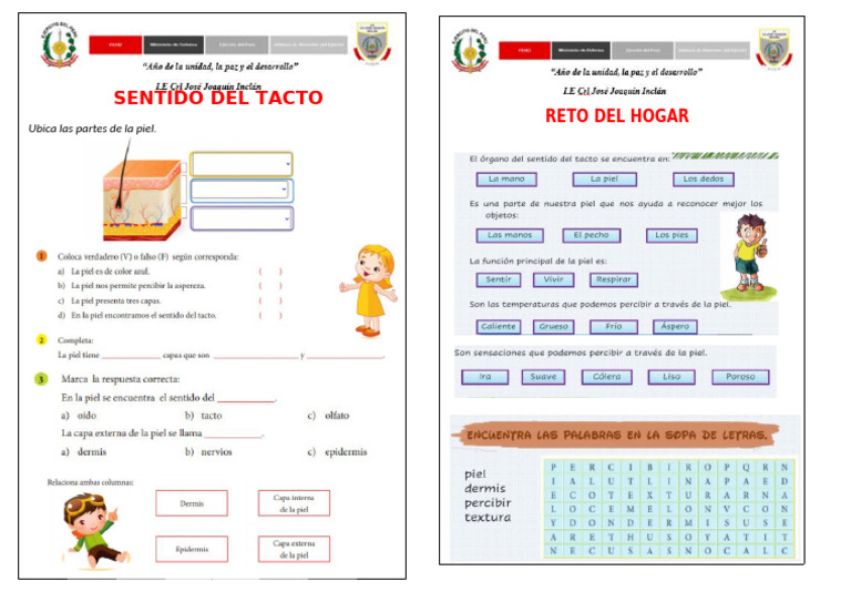 Sentido del Tacto y Piel en el Hogar | PDF