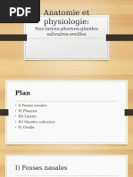 Anat Physio ORL | PDF | Oreille | Système vestibulaire