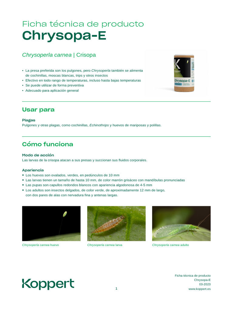 Chrysopa Reproductor Agrícola Koppert | PDF | Insectos | Hexapoda