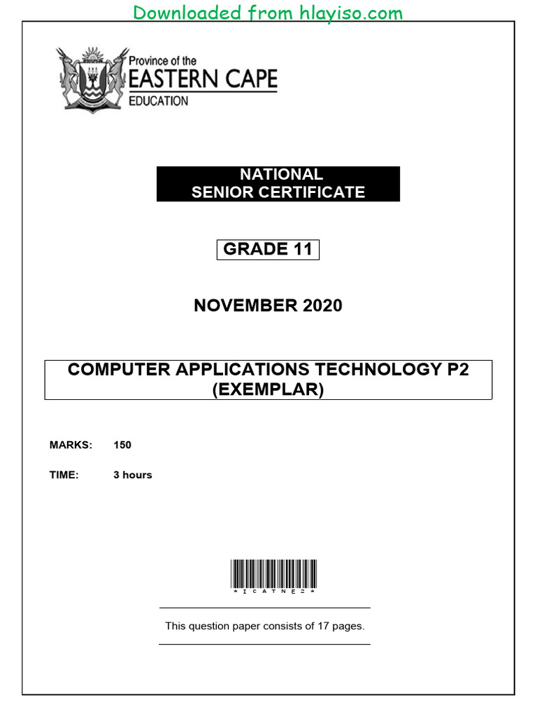 CAT P2 GR11 QP NOV2020 ENG D_hlayiso.com_ | PDF | Internet | Software