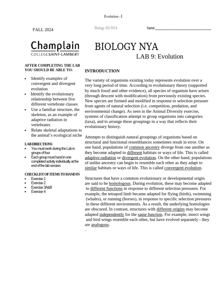 9. Evolution Lab F24 (1) | PDF | Homology (Biology) | Vertebra