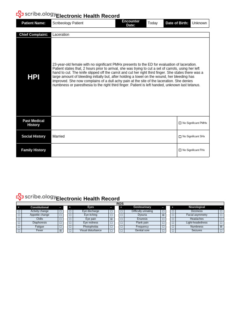 Practice Scenario Laceration Chart | PDF | Wound | Paresthesia