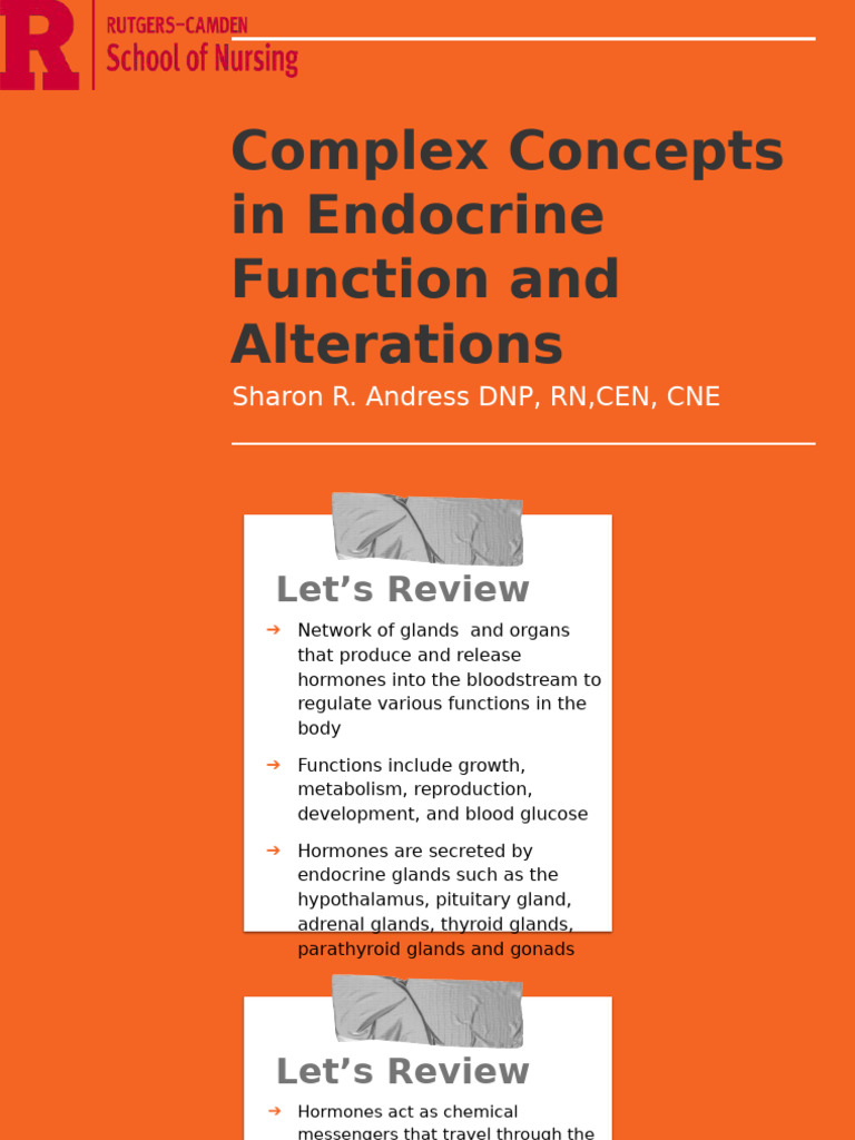 Complex exam 3 Lecture | PDF | Stroke | Endocrine System