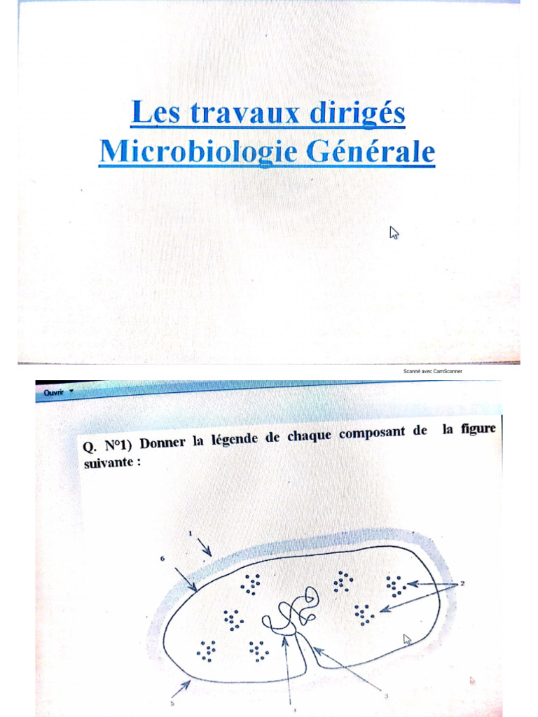 td1 micro | PDF