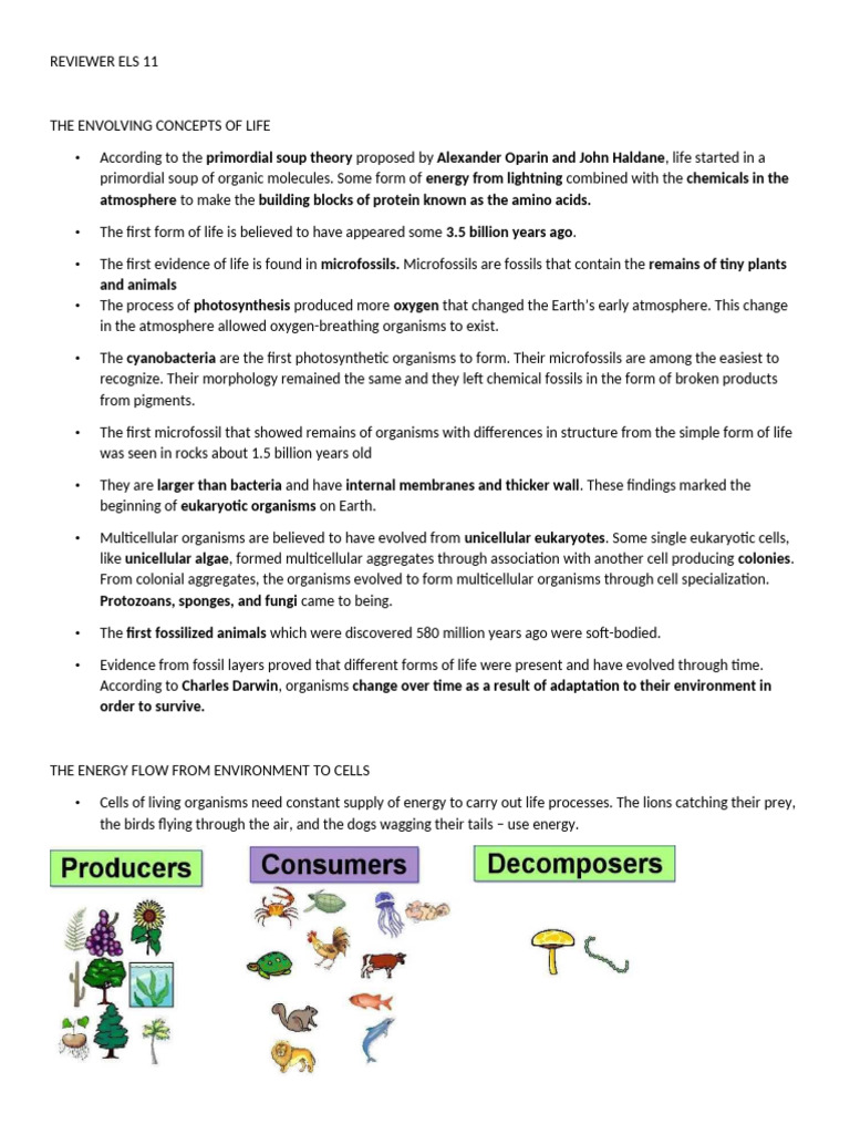 Evolution and Energy in Life Forms | PDF | Fertilisation | Pollination
