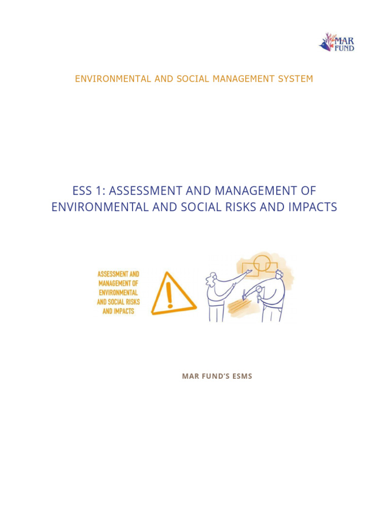 1.-MF-ESS1_NV1 | PDF | Environmental Impact Assessment | Risk
