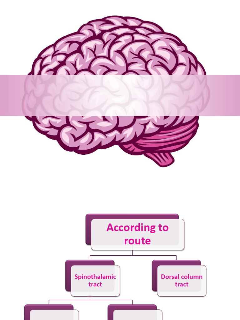 Physio 1 | PDF | Pain | Neuroscience