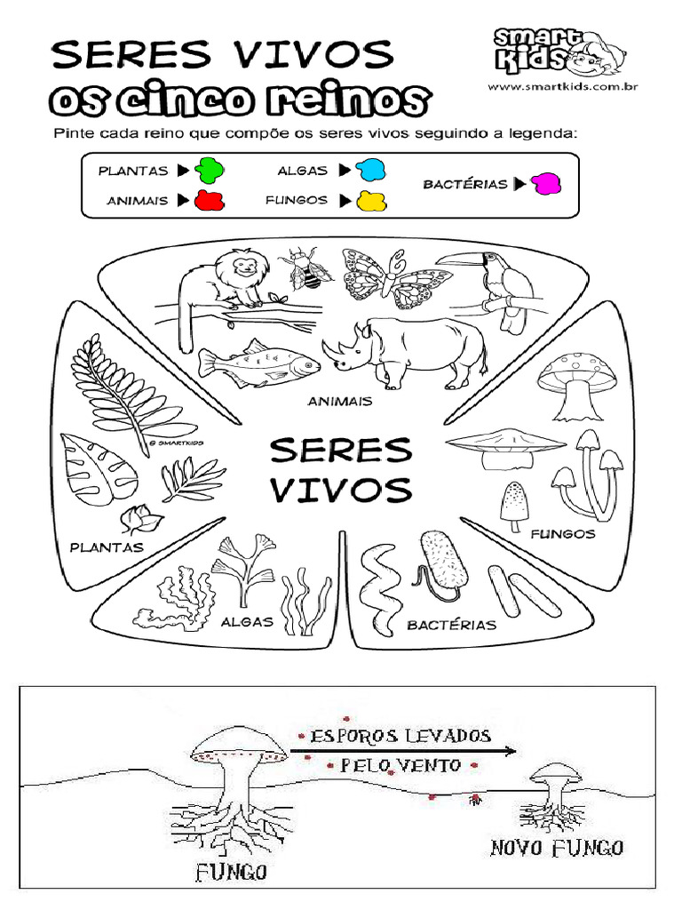 Ativi Fungos Adaptada | PDF