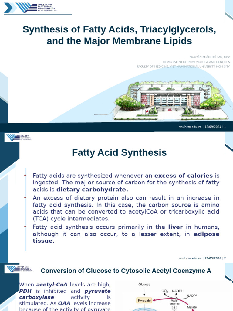 Lipid- Synthesis of Fatty Lipids | PDF | Biosynthesis | Diet & Nutrition