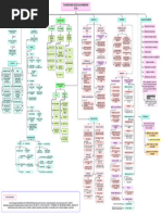 Tec Leve | PDF | Dolor de cabeza | Neurología