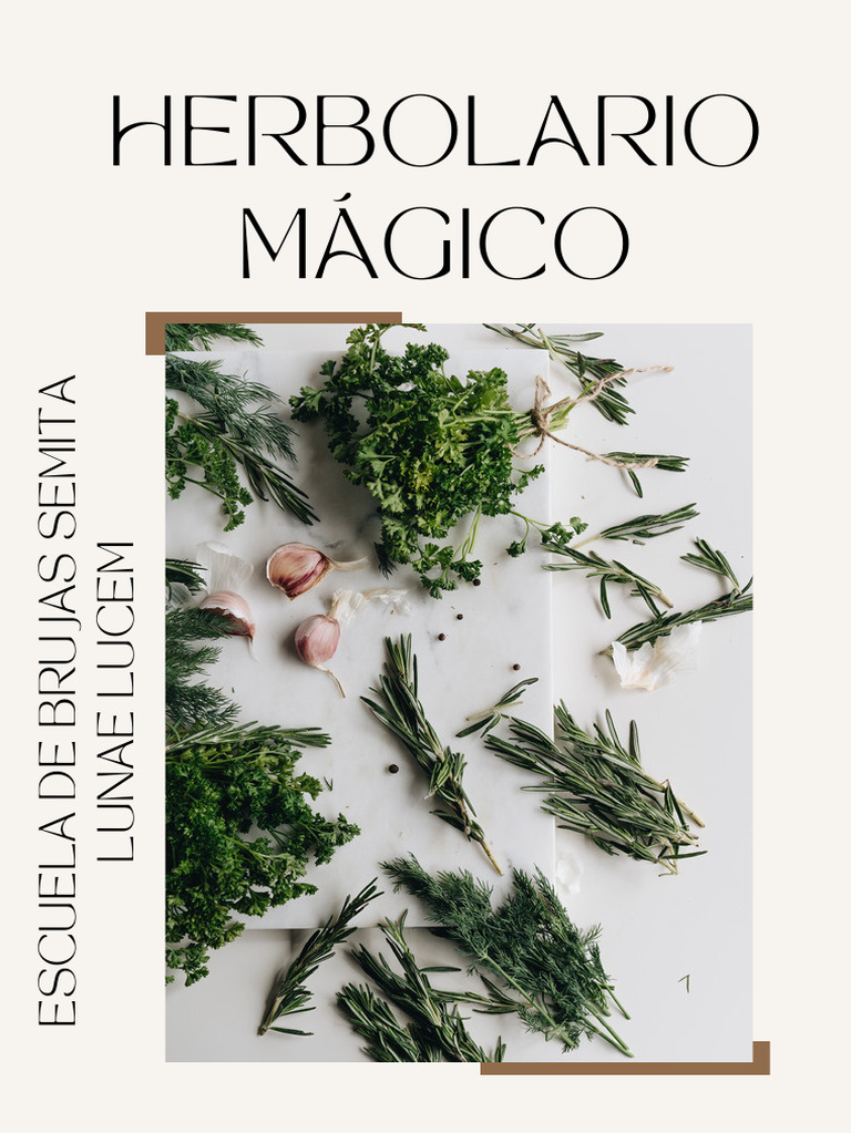 Herbolario Magico | PDF | Albahaca