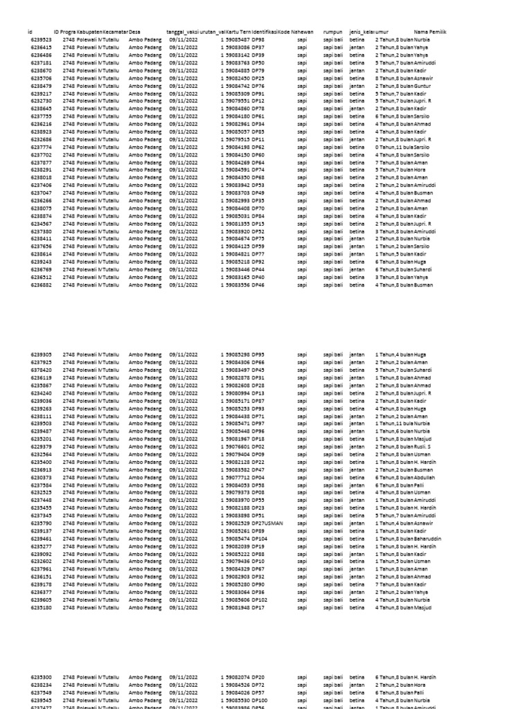 ambo padang 01 | PDF