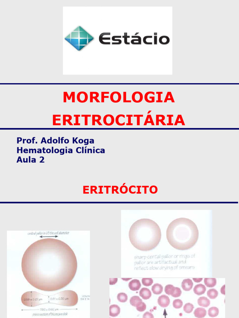 Aula 2- Morfologia Celular | PDF | Anemia | Hemácia