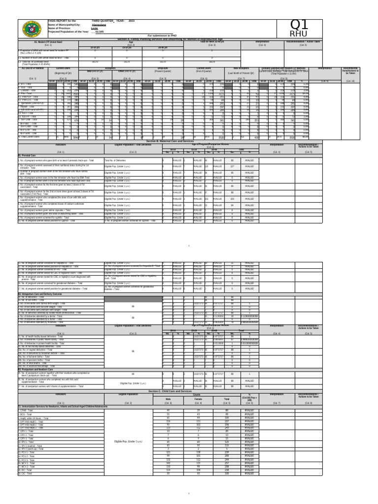 RHU Q1 3rd Quarter Consolidated All Programs | PDF | Childbirth ...