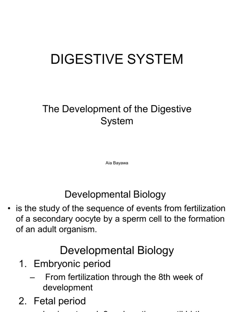 Embryology Digestive System | PDF