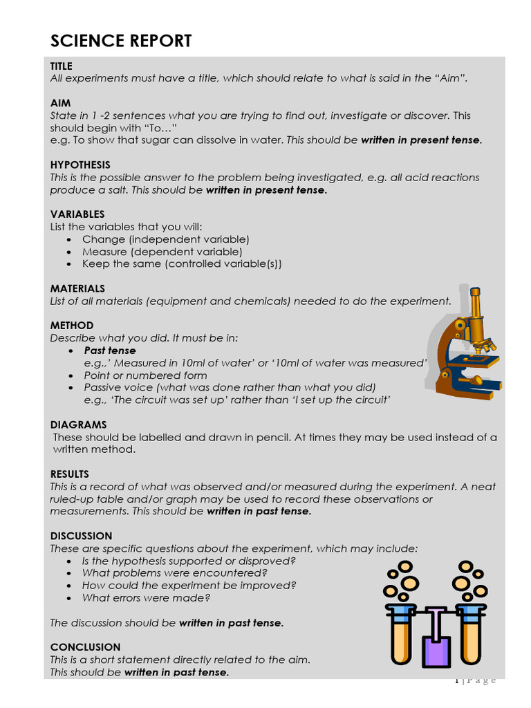 Science Report Template | PDF | Experiment | Water