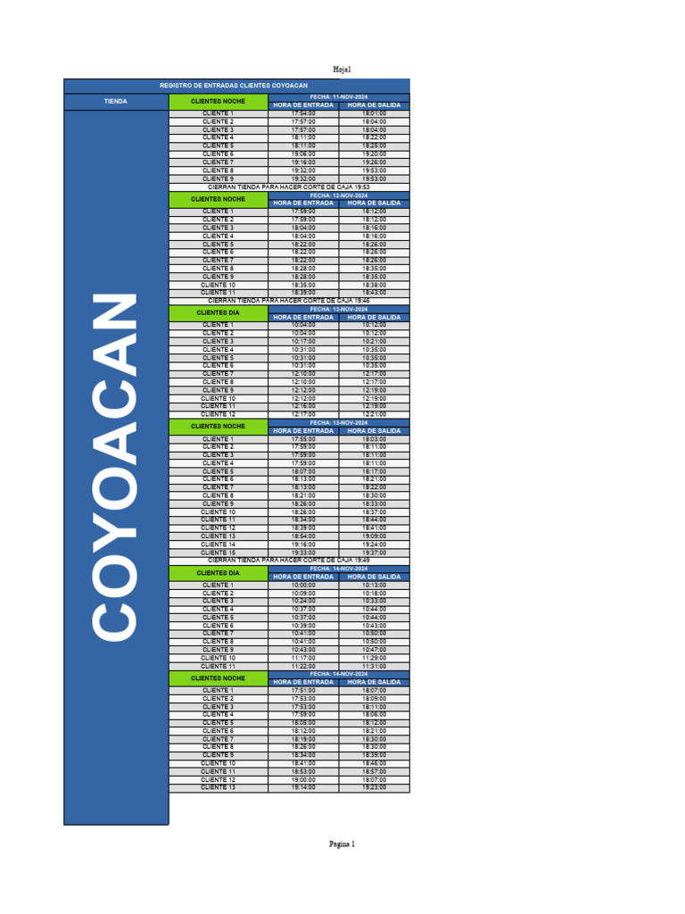Coyoacan Store Client Log | PDF