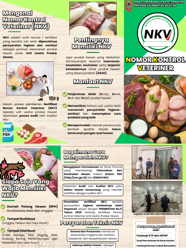 LEAFLET NKV - DISBUNNAK KALSEL | PDF