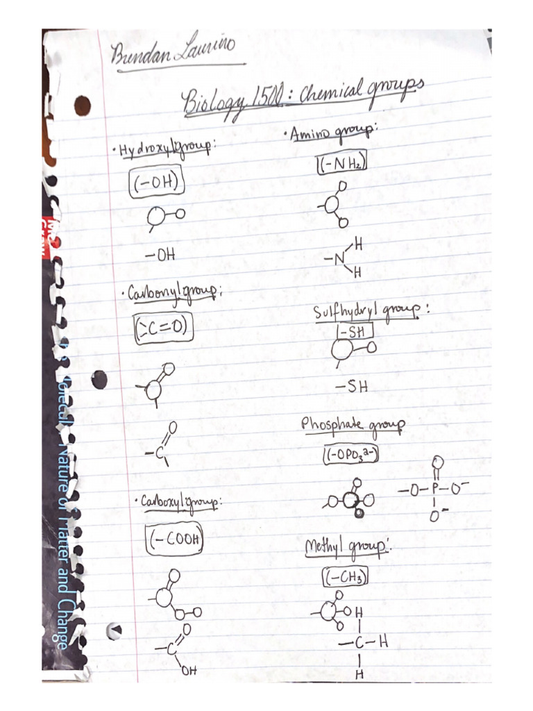 BIOL 1500 Chemical Groups Study Guide | PDF