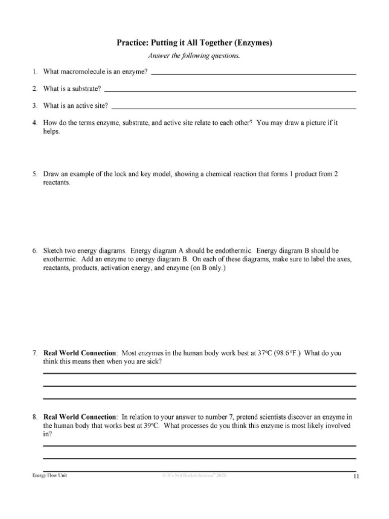 Concept 1 - Energy Flow - Practice Putting It All Together Enzymes | PDF