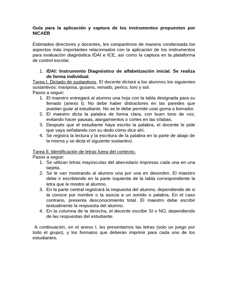 Guía para La Aplicación de IDAI e ICE 2024 | PDF | Fruta | Pera