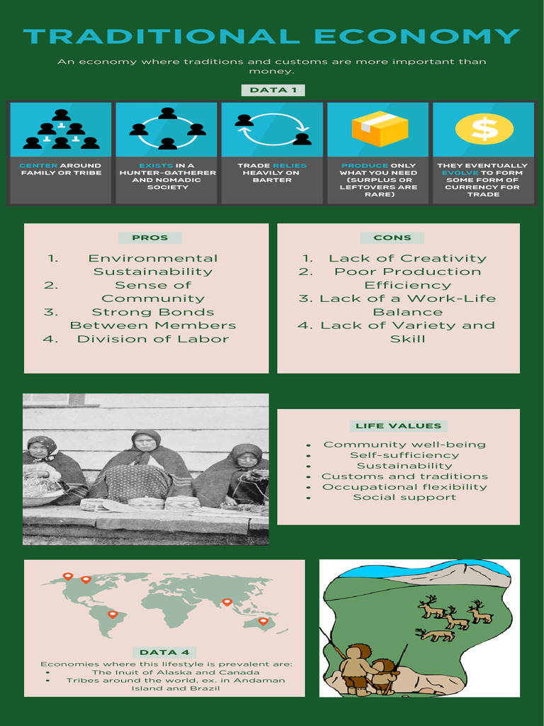 Traditional Economy | PDF