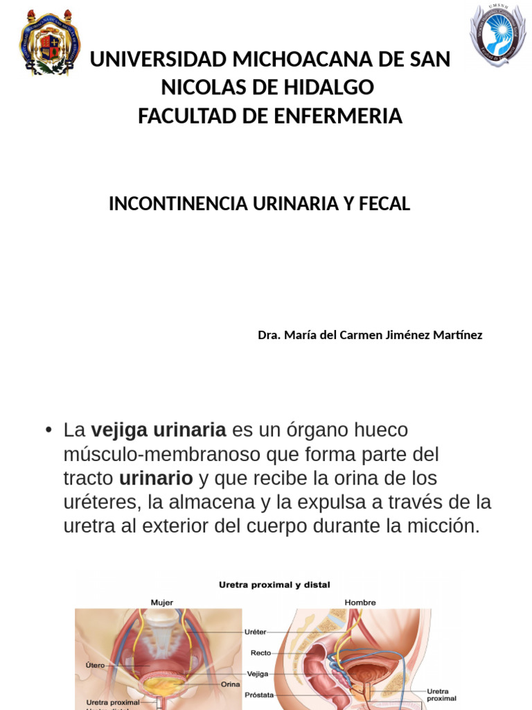 Incontinencia Urinaria y Fecal: Causas y Tratamiento | PDF | Medicina ...