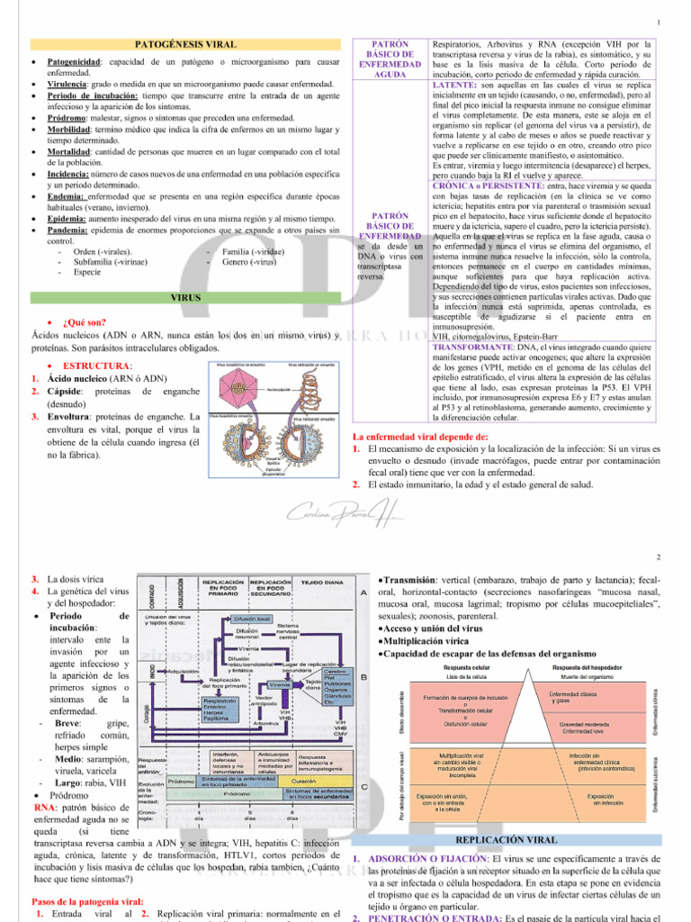 Patogenesis Viral y Clasificación de Los Virus | PDF