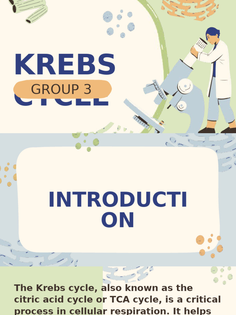 Krebs Cycle | PDF | Diet & Nutrition | Chemistry