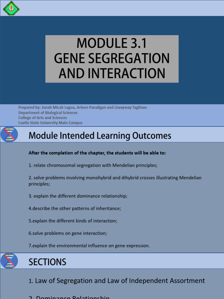 Lecture 3 - Gene Segregation and Interaction | PDF | Dominance ...