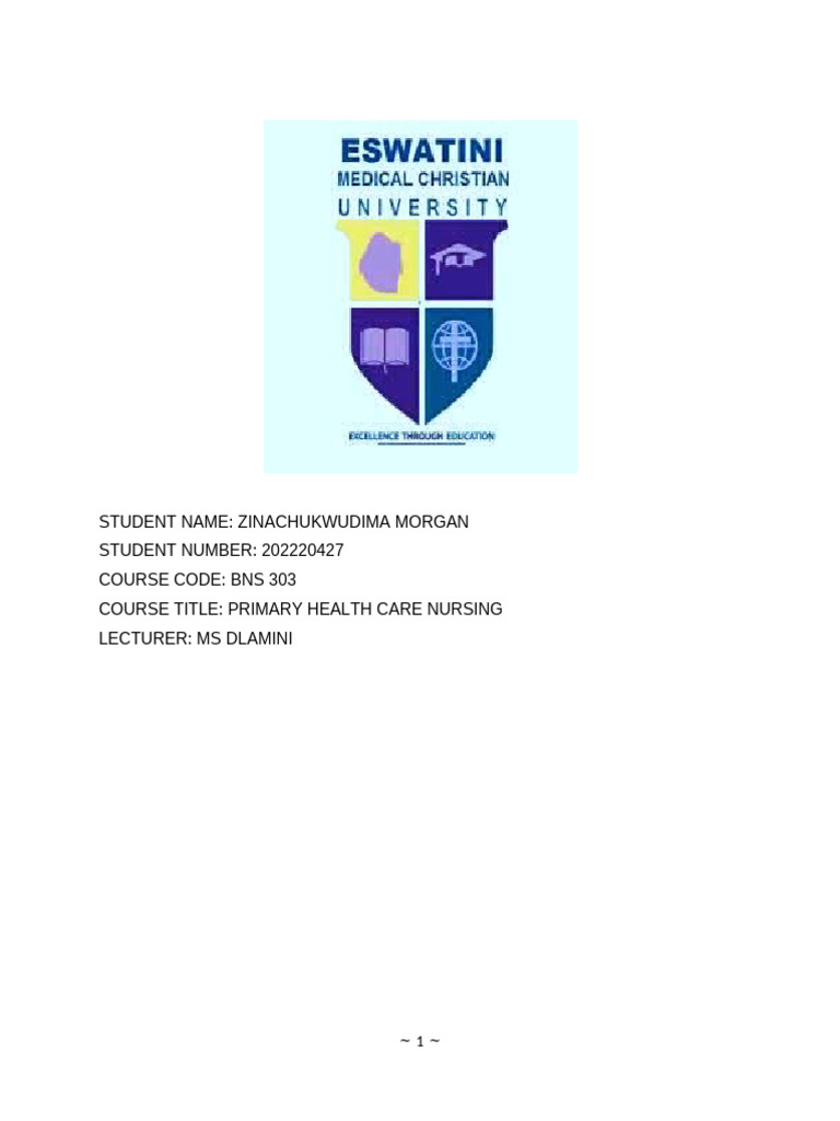 Sustainable Health Goals in Eswatini | PDF | Maternal Death ...