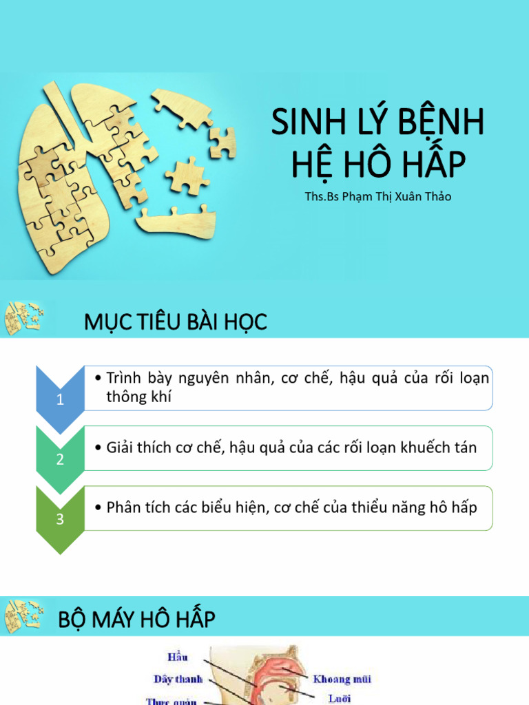 slb hô hấp | PDF