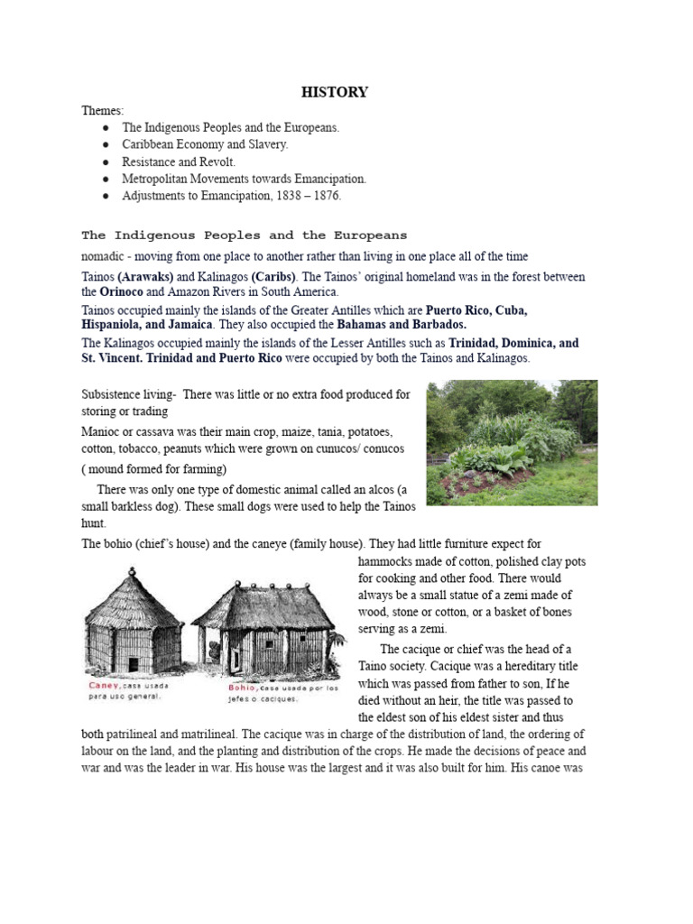 History Jottings | PDF | Slavery | Christopher Columbus