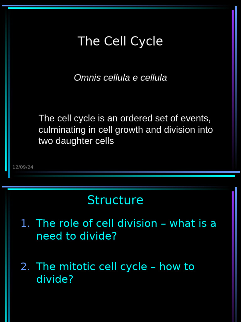 Understanding the Cell Cycle Process | PDF | Mitosis | Cell Cycle
