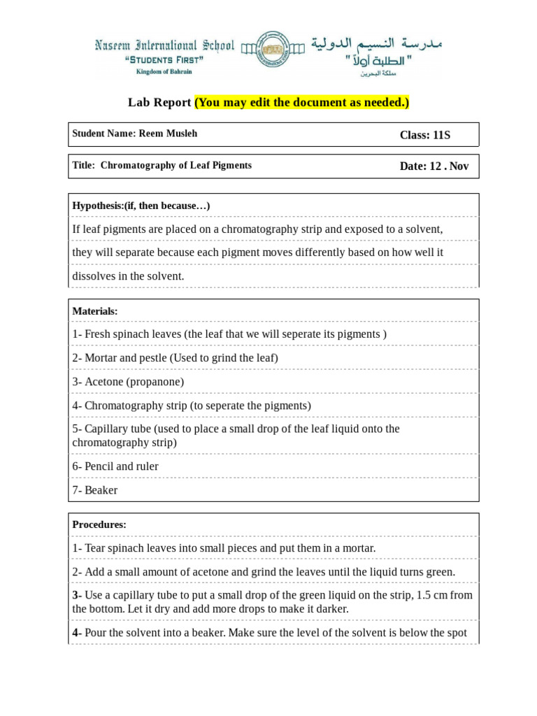 chromatography Lab ACTIVITY - Google Docs | PDF