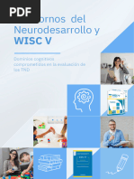 Wisc V Cuadernillo Claves y Busqueda de Simbolos | PDF
