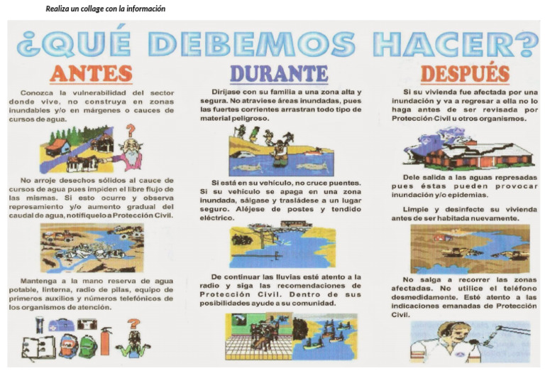 Cómo Hacer un Collage Informativo | PDF