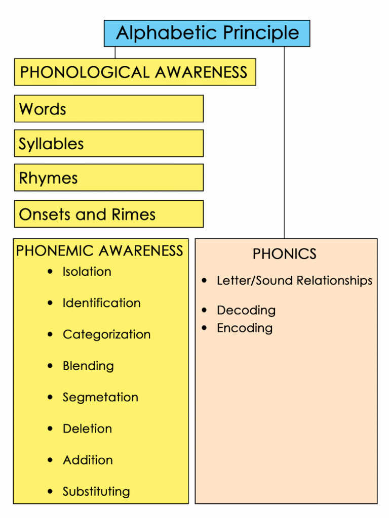 Letter Bb Phonics Pack | PDF